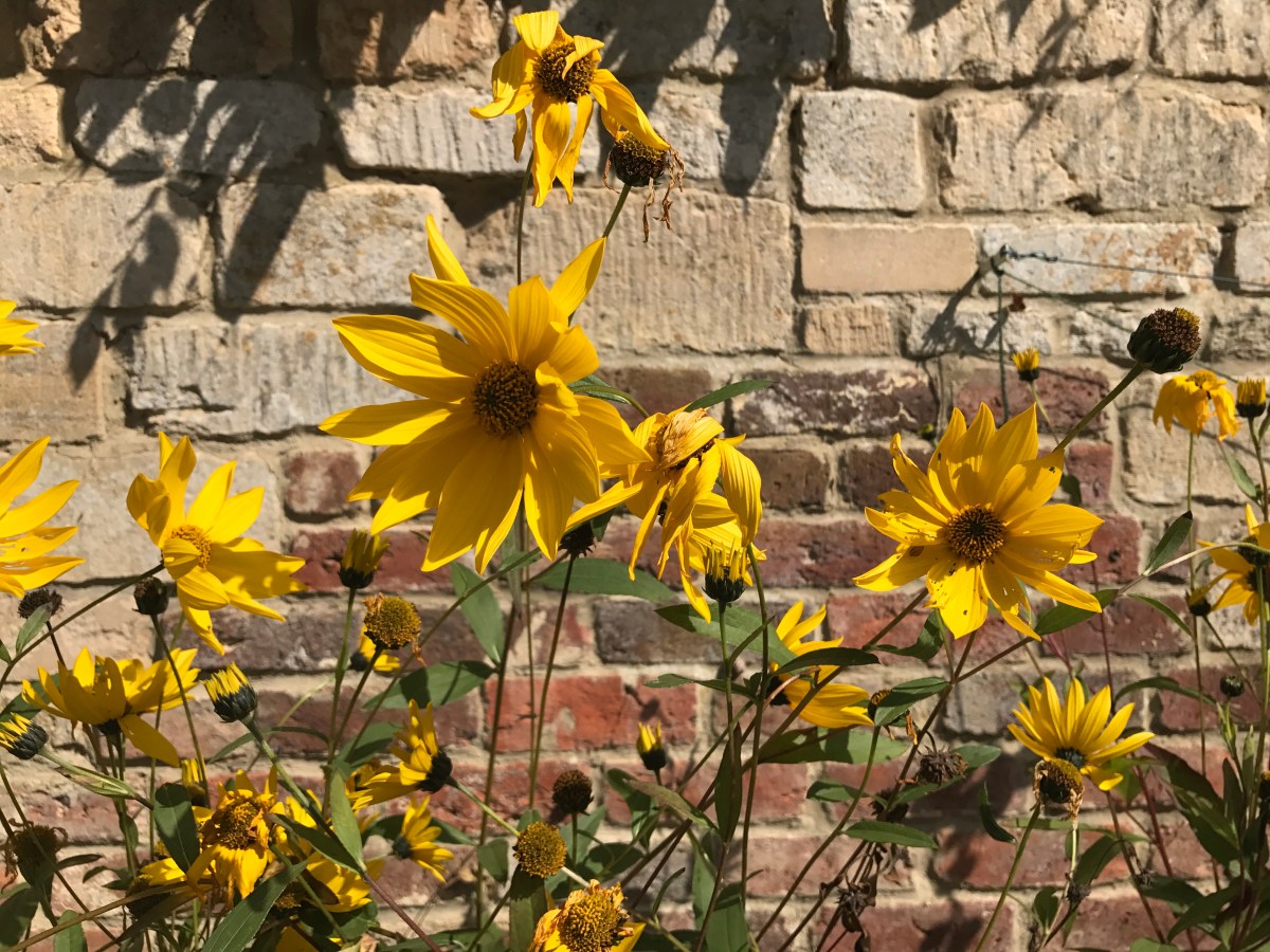 136 – poetry Monday | while you're ahead...